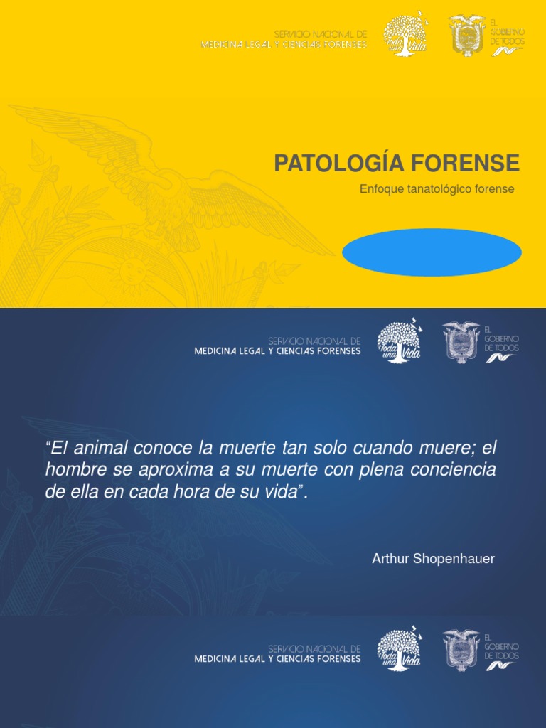 Clase 2 Patologia Forense | PDF | Muerte | Cremación