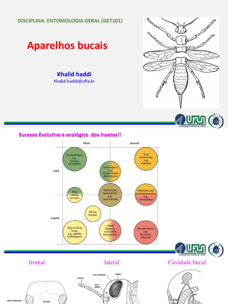 _Aparelhos bucais by kh | PDF | Boca | Insetos