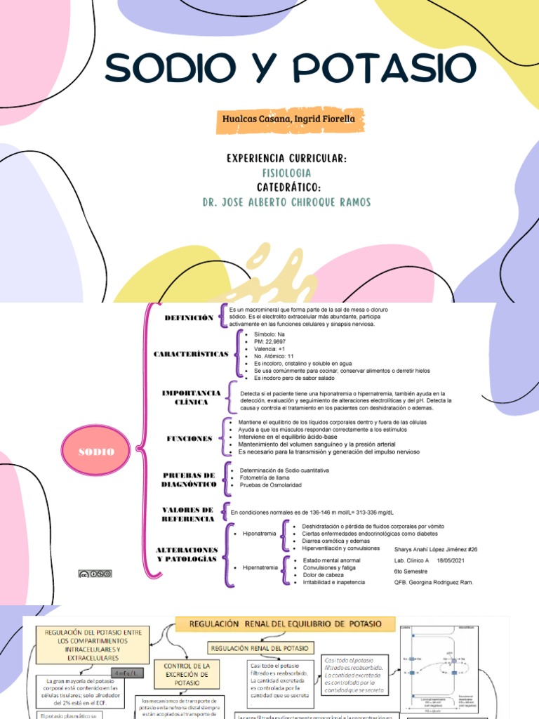 Funciones Sodio y Potasio | PDF