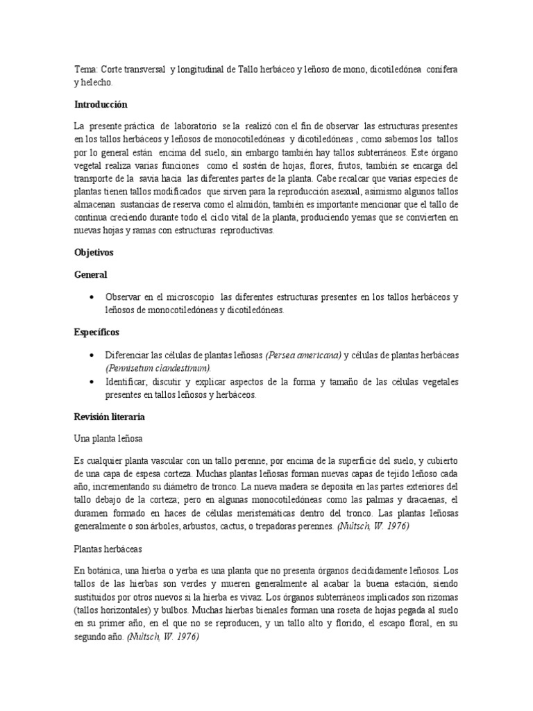 Informe-De-Botanica Crtes de Tallo | PDF | Tallo de la planta | Plantas