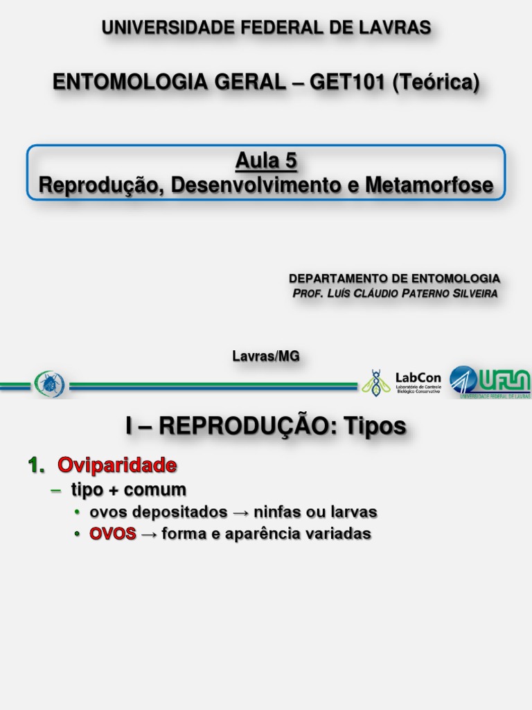 Reproduzindo Insetos: Oviparidade e Metamorfose | PDF | Reprodução ...