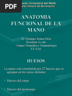 Anatomía de la Mano y Muñeca | PDF | Mano | Articulación