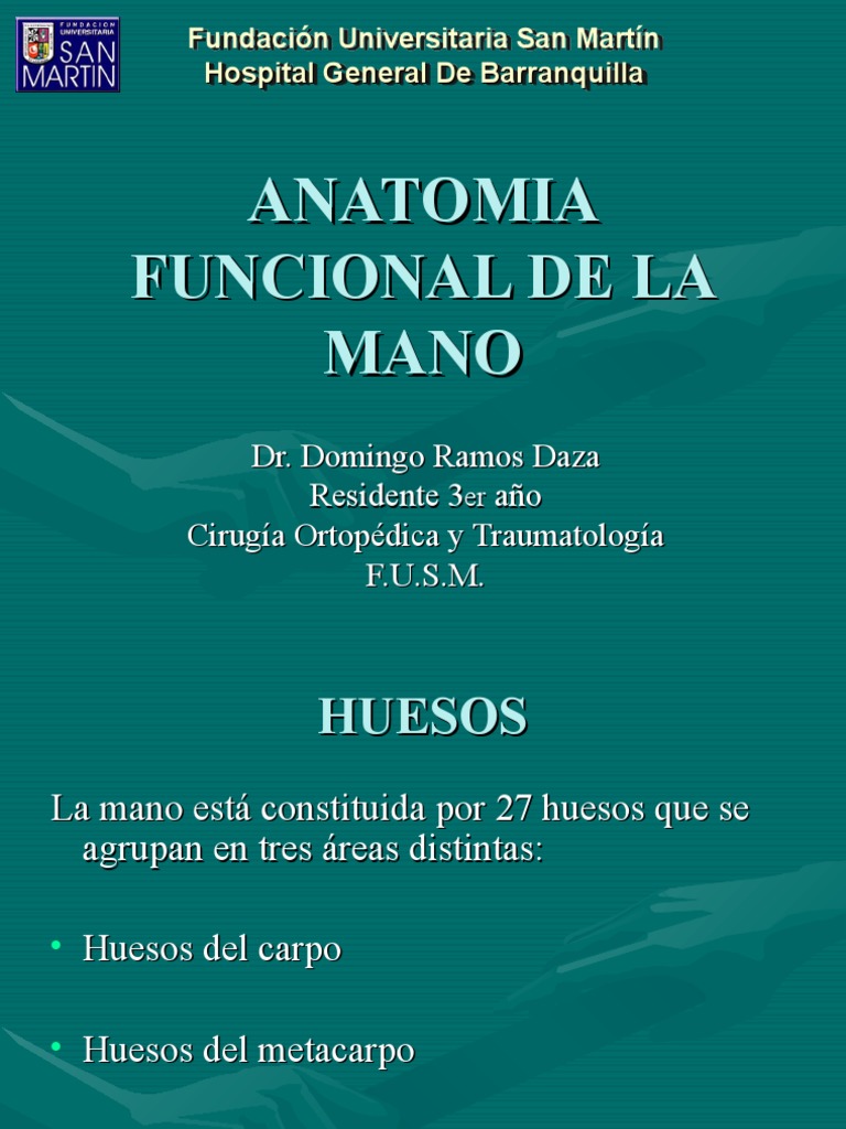 Anatomia Funcional de La Mano | PDF | Mano | Articulaciones
