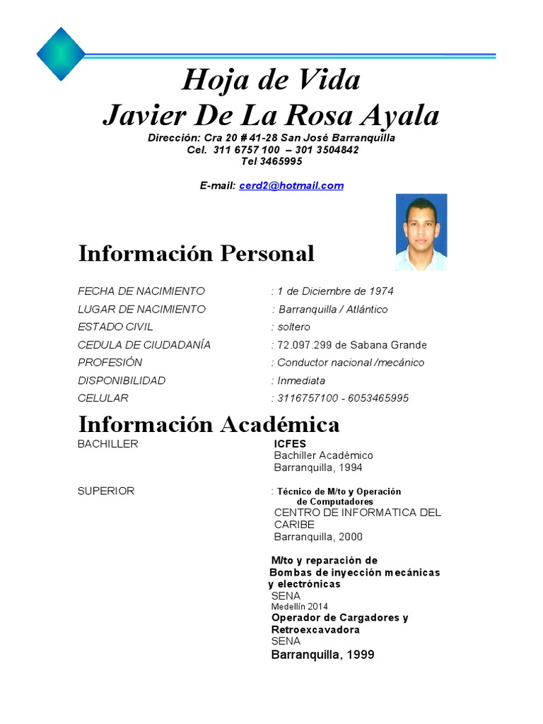 HV de Javier 2020 ST | PDF