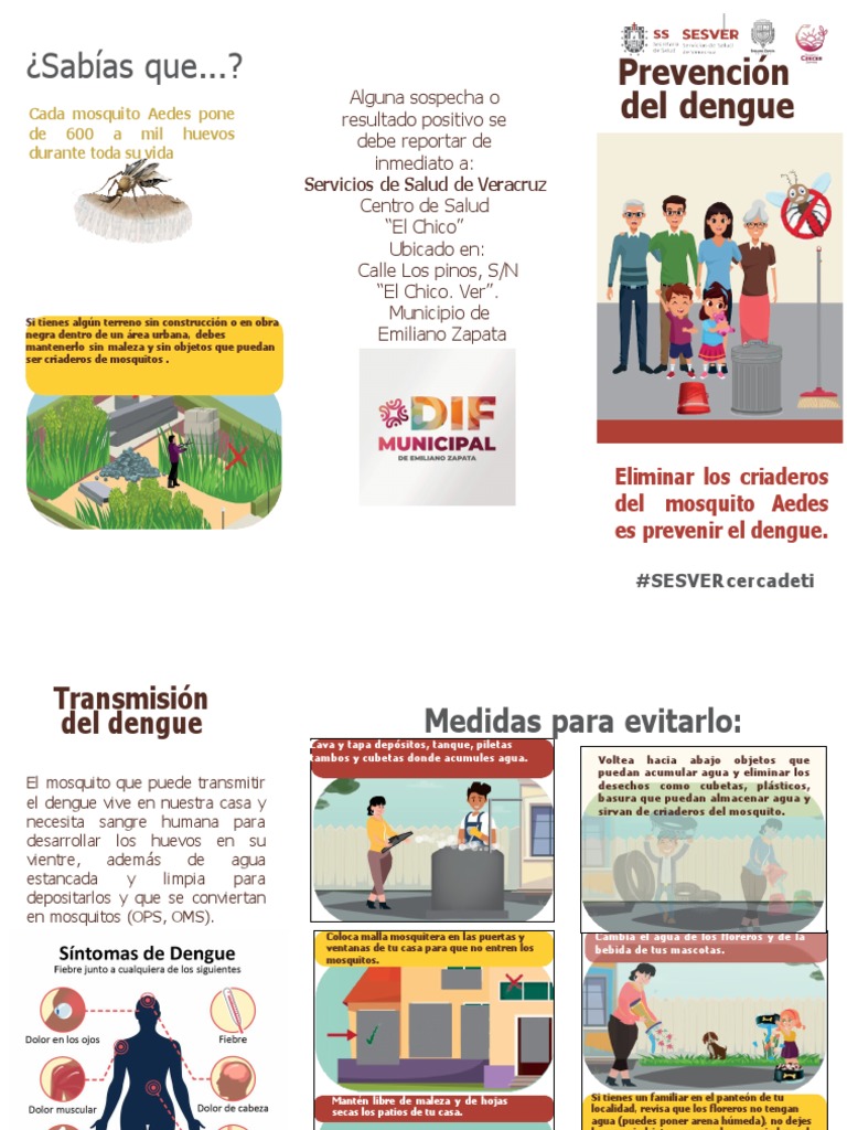 Triptico Prevenvion Dengue | PDF | Mosquito | Especialidades Medicas
