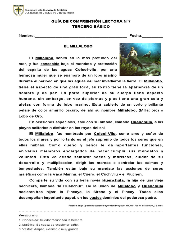 Comprension Lectora N°7 | PDF