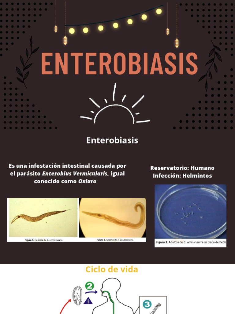 Enterobiasis | PDF