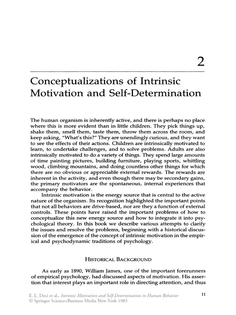 Conceptualizations of Intrinsic Motivation and Self-Determination | PDF ...