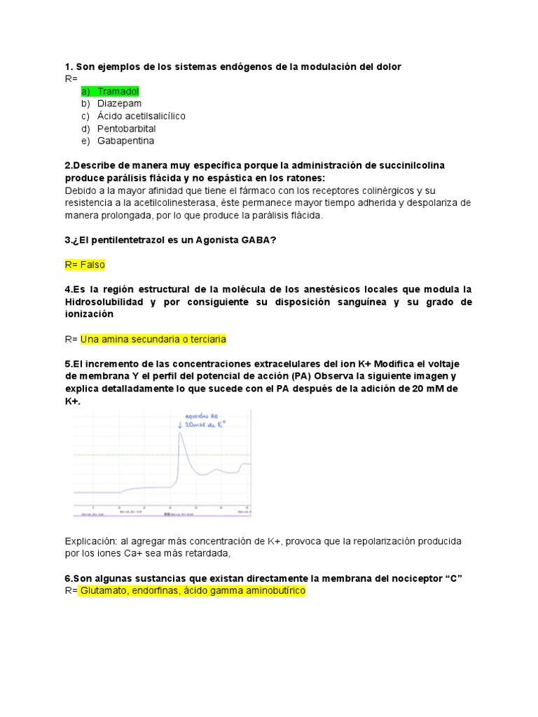 Primer Examen EFM II | PDF