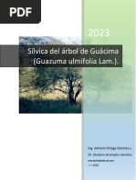 Mangle Blanco | PDF | Mangle | Arboles