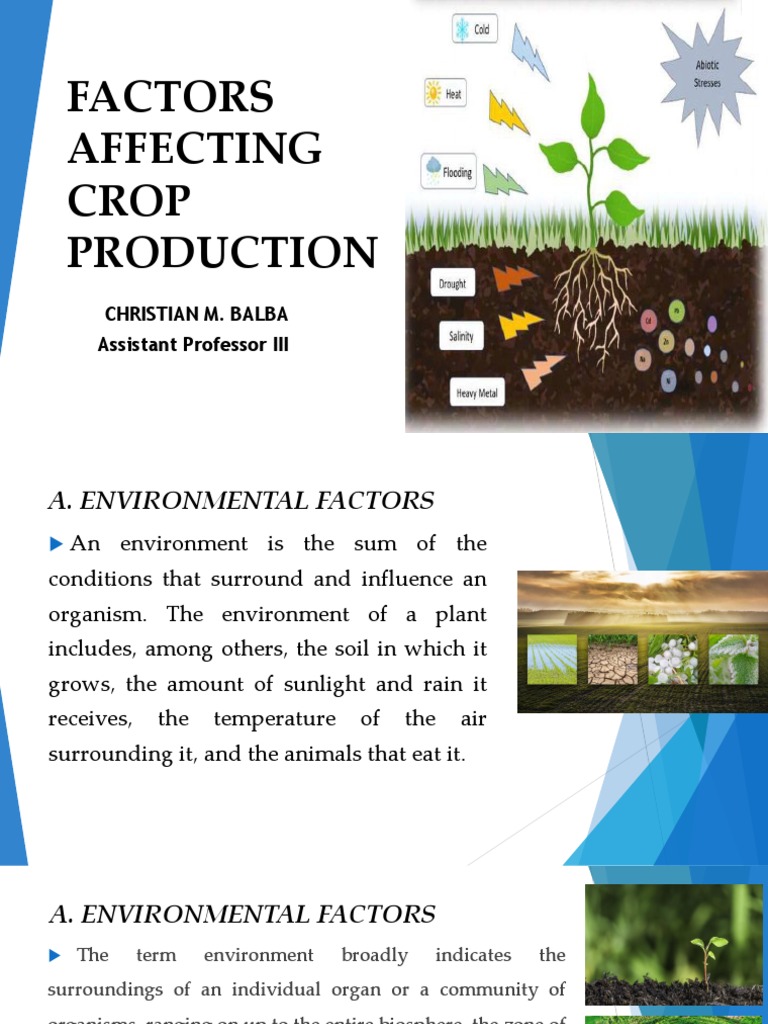 Environmental Factors in Crop Production | PDF | Soil | Precipitation