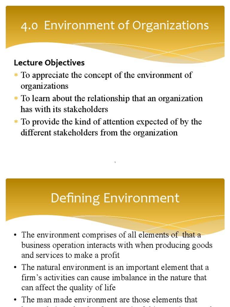 4.0 Environment of Organizations | PDF | Entrepreneurship | Business
