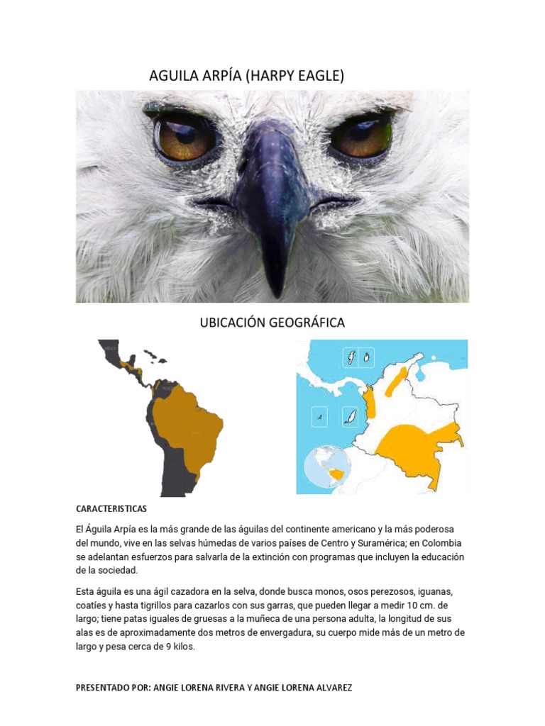 Aguila Arpía Museo | PDF