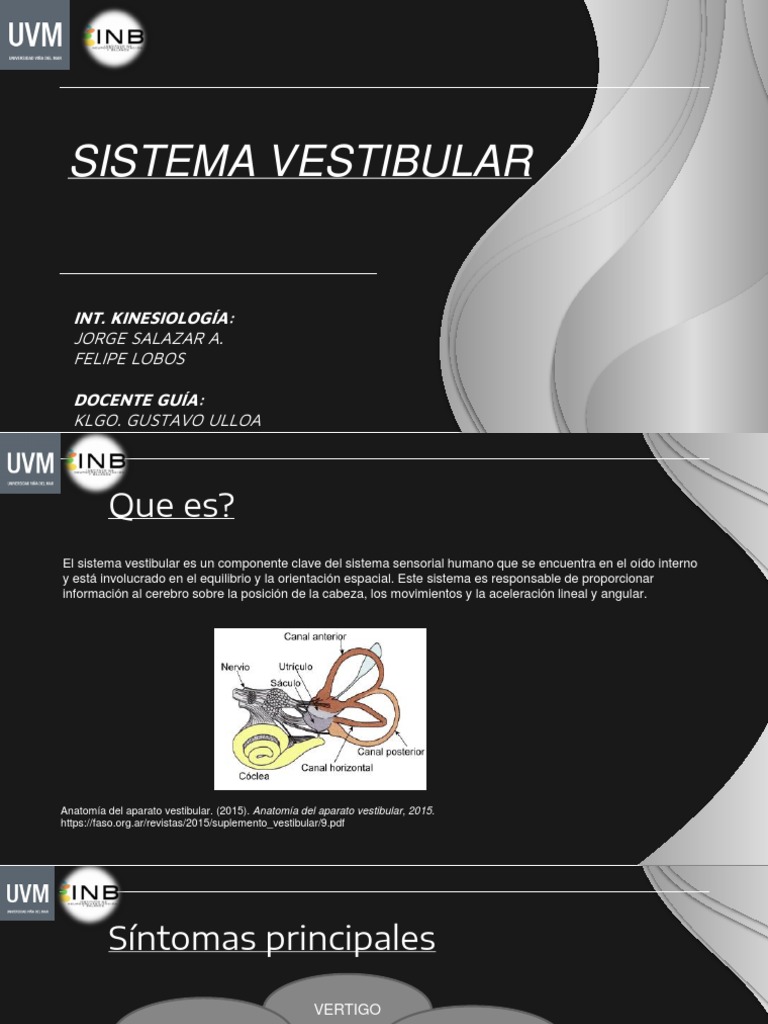 Sistema Vestibular Anatomía Y Síndromes Pdf Medicina Clinica