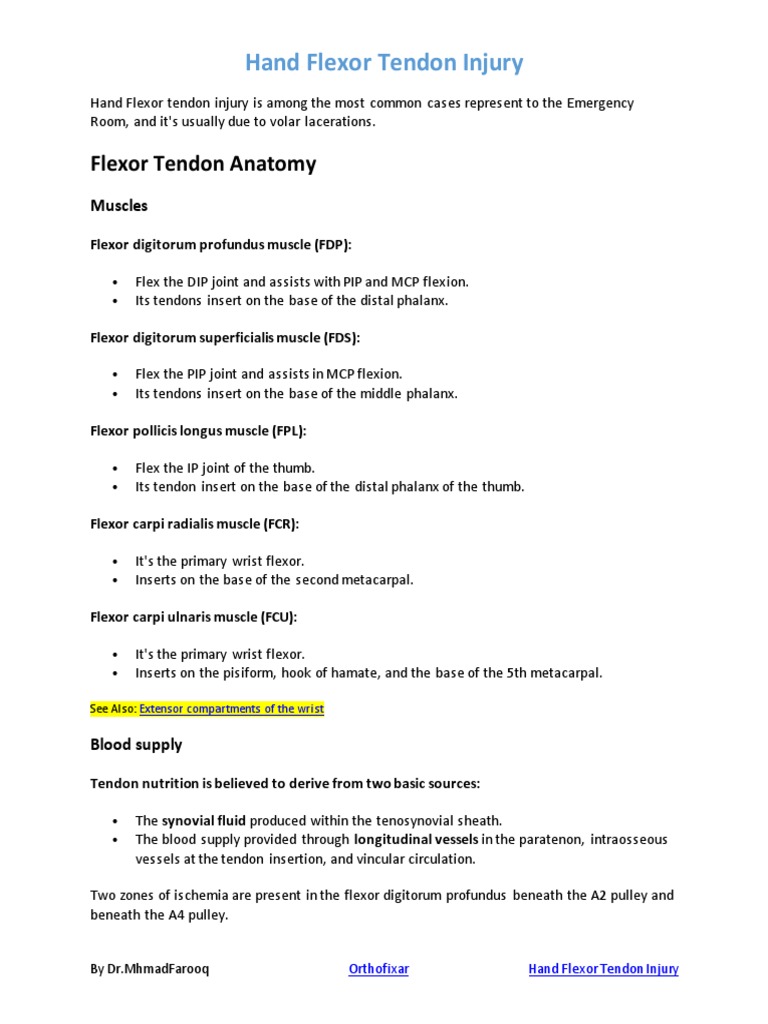Hand Flexor Tendon Injury | PDF | Hand | Finger