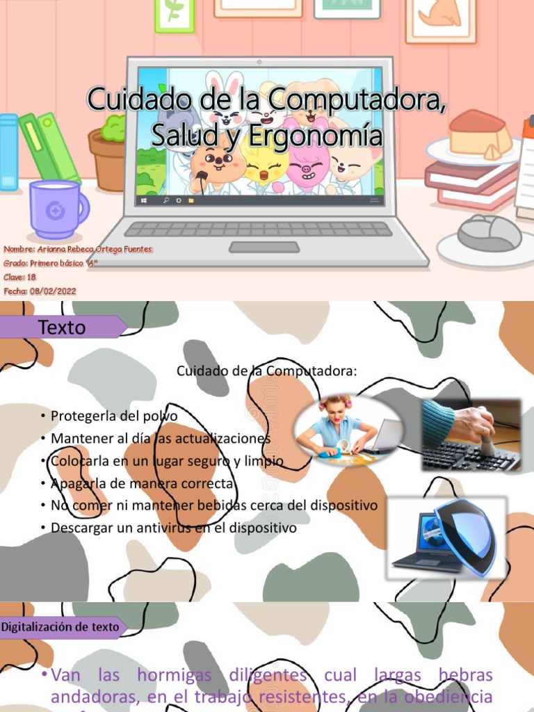 Cuidado de La Computadora, Salud y Ergonomía | PDF