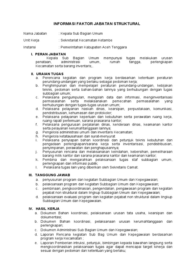 IFJ Kepala Sub Bagian Umum | PDF