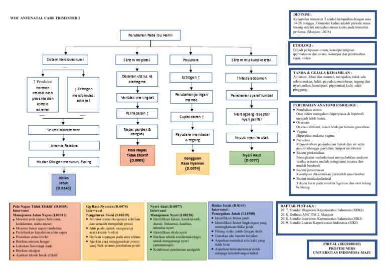 Firyal Maternitas Woc Anc TM2 PKM | PDF