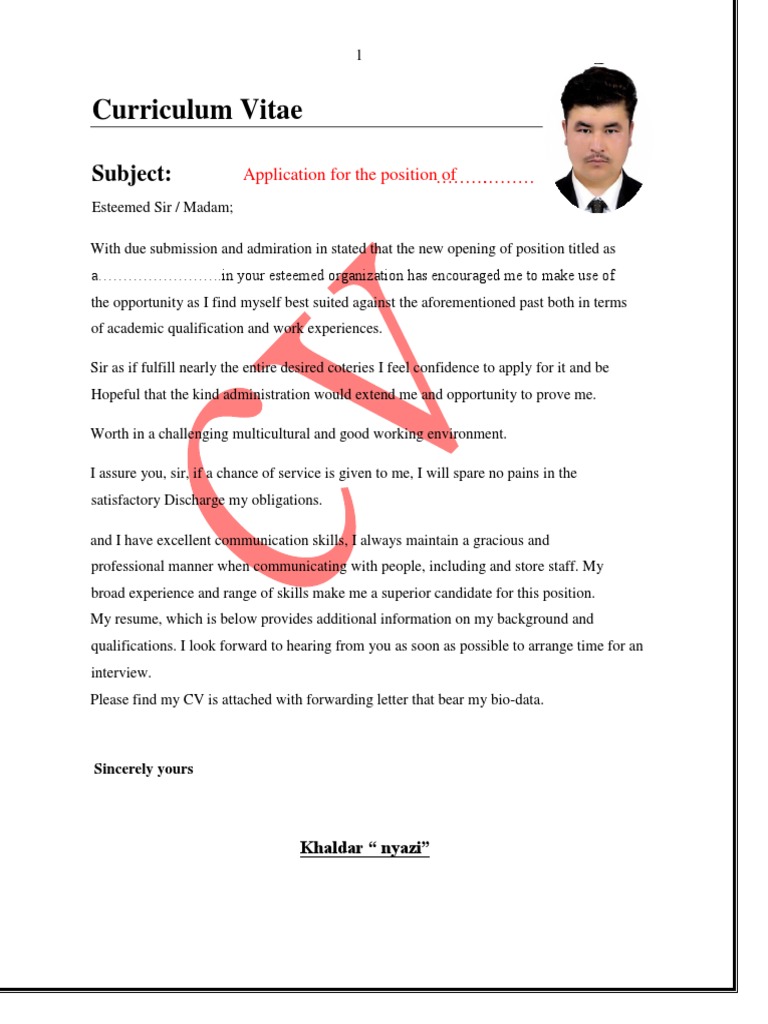 Khaldar Nyazi CV | PDF | Computing | Communication