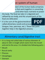G5 The Human Digestive System | PDF | Digestion | Stomach