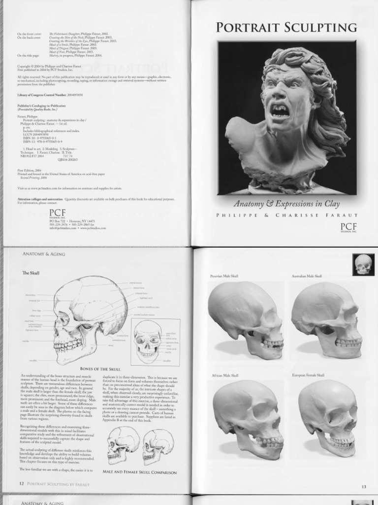 Portrait Sculpting | PDF | Human Anatomy | Anatomy