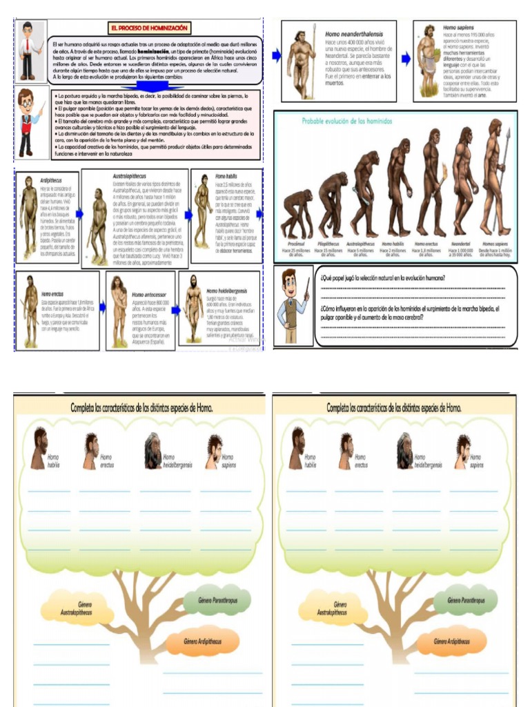 Proceso de Hominización | PDF