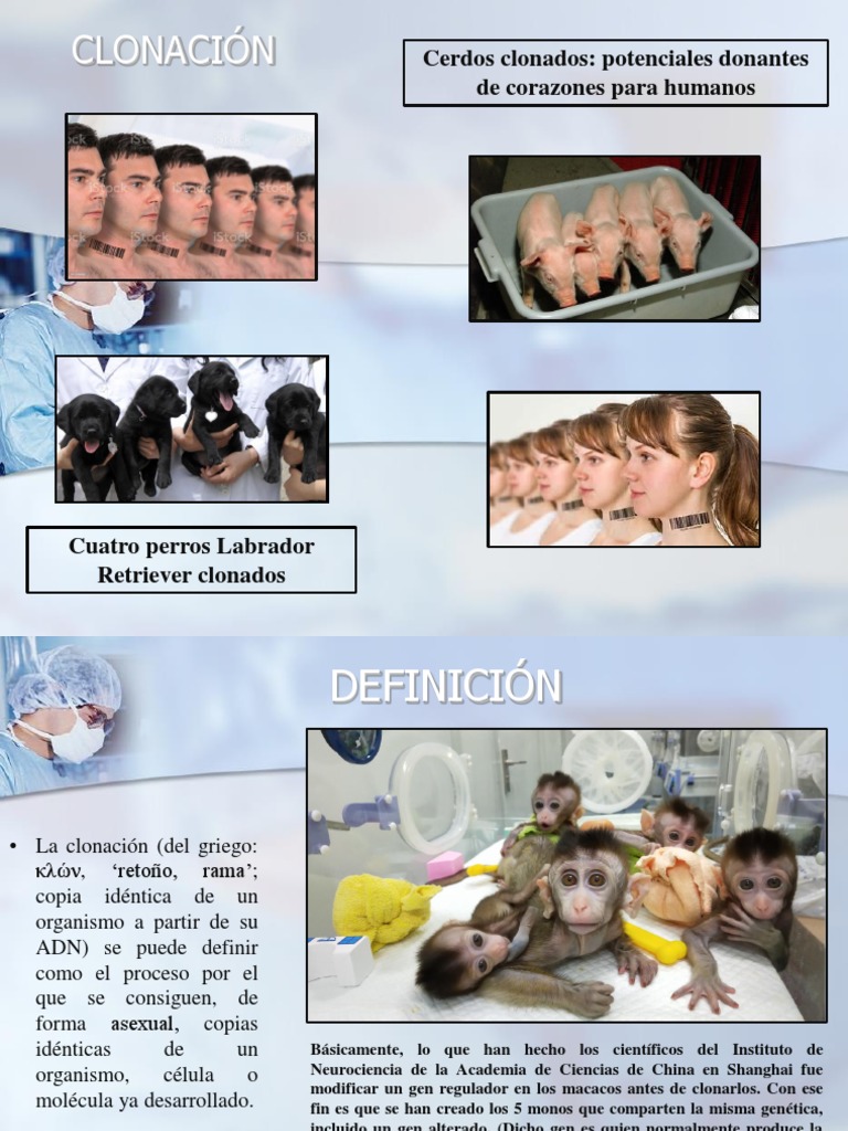 Clonacion 2023 Terminado | PDF | Clonación | Biología