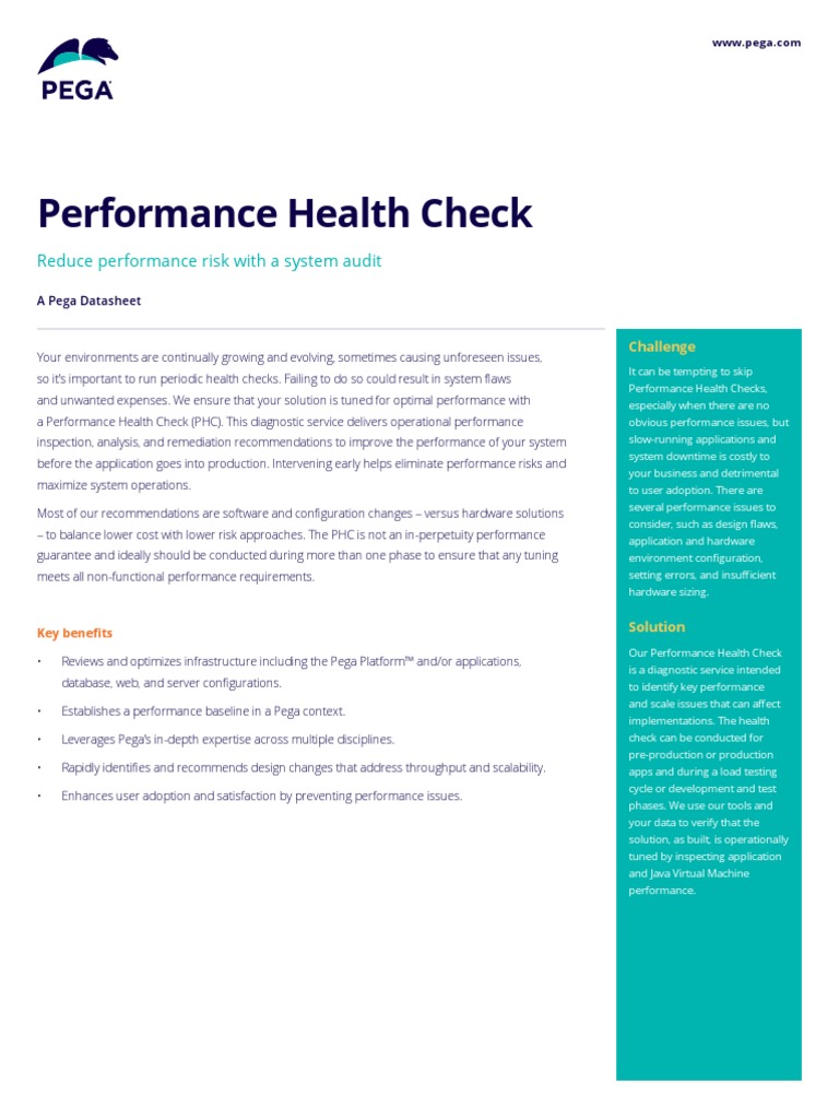 Performance Health Check | Download Free PDF | Business | Computer Engineering