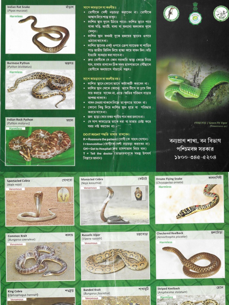 Snakes type | PDF