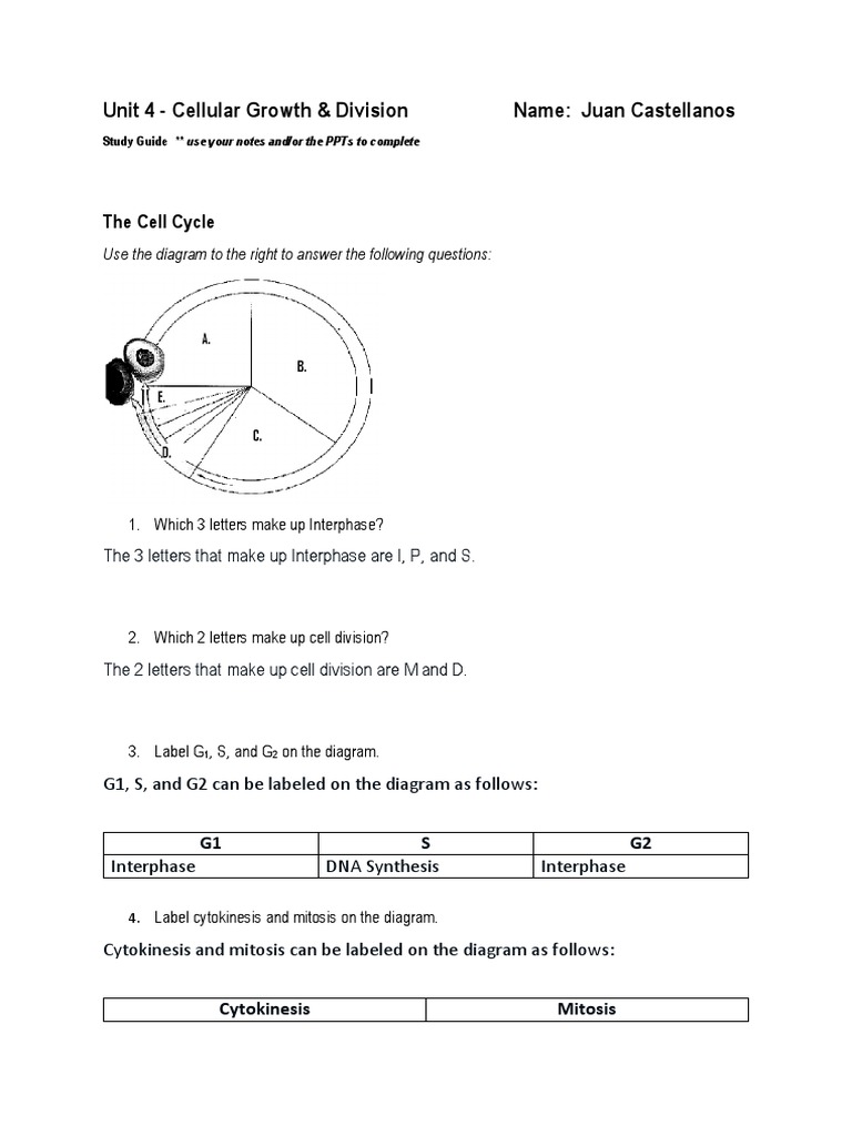 U4 - Study Guide - CELL DIVISION & GROWTH | PDF | Mitosis | Cell Cycle