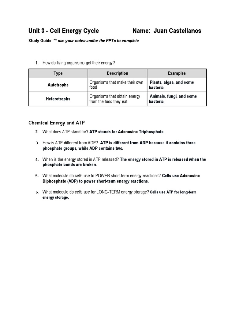 U3 - Study Guide - CELL ENERGY | PDF | Cellular Respiration | Adenosine ...