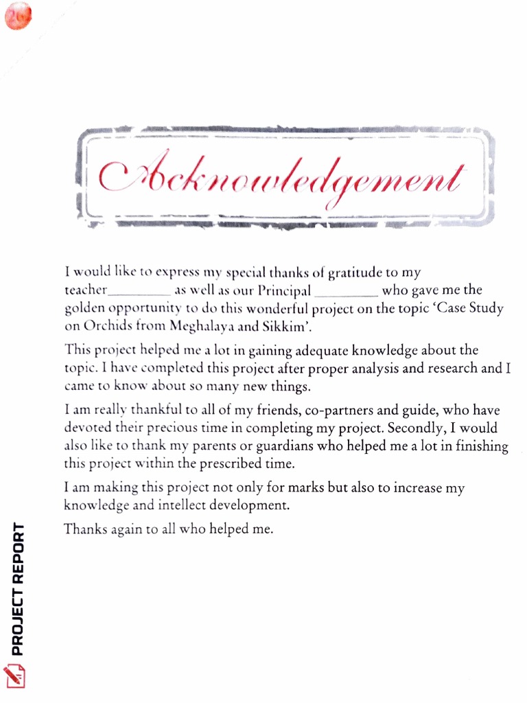 Acknowledgement Samples For English PW | Download Free PDF | Cognition