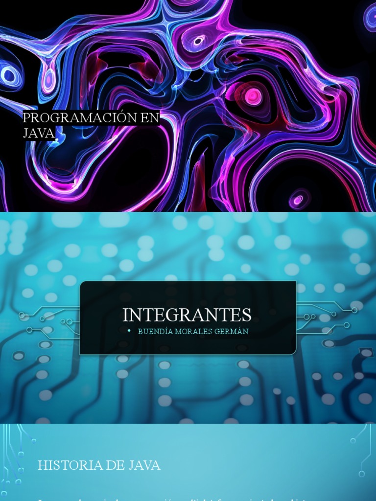 JAVA Porgramacion | Descargar gratis PDF | Java (lenguaje de programación) | Tipo de datos