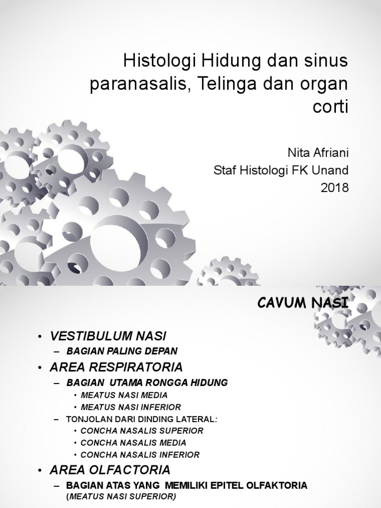 Histologi Hidung Dan Sinus Paranasalis, Telinga Dan Organ Corti | PDF