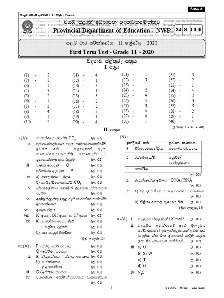 Grade 11 Science First Term Test Answers | PDF