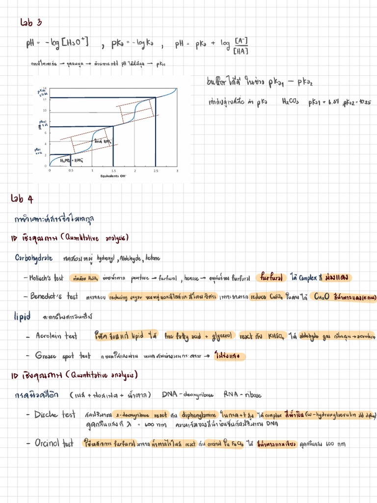 Biochem 2 | PDF | Determinants Of Health | Biomolecules