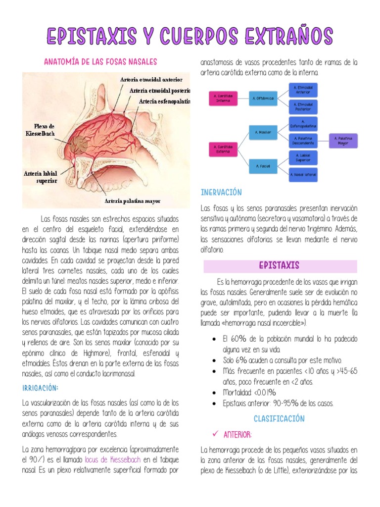 Epistaxis y Cuerpos Extraños | PDF | Anatomía humana | Cara
