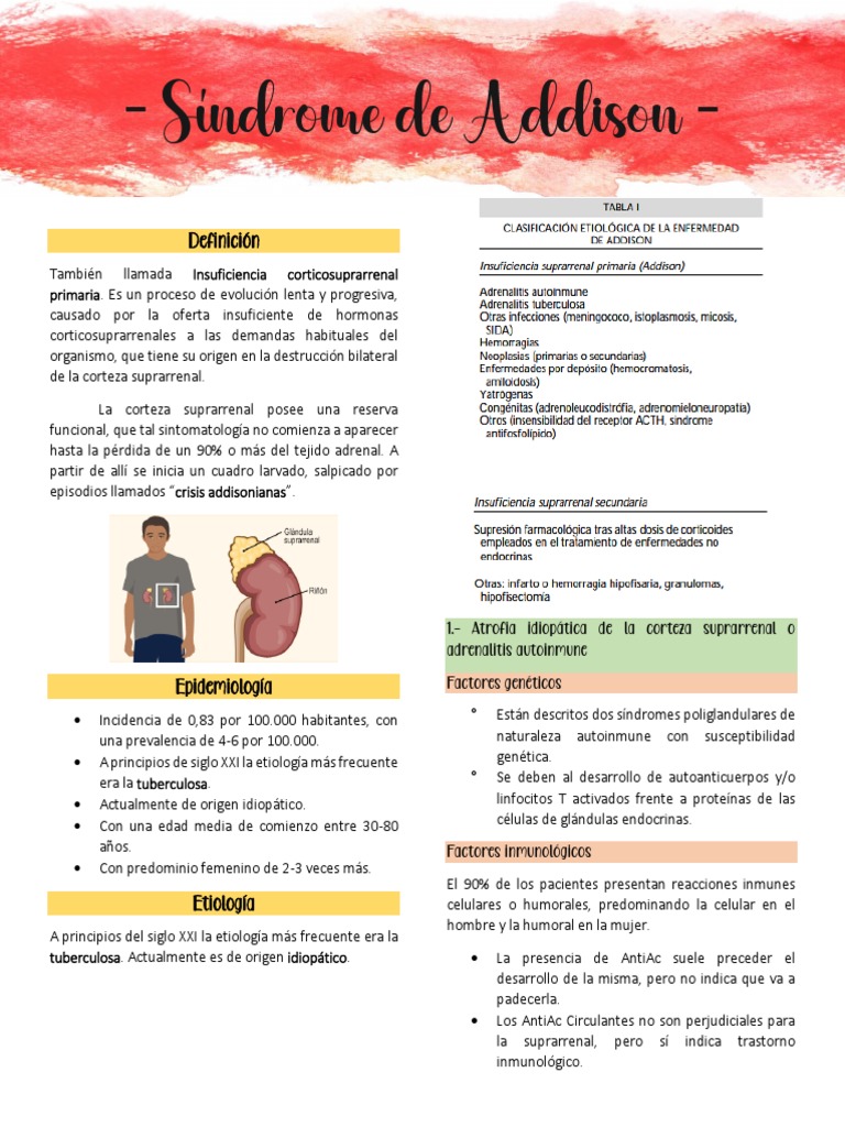 Síndrome de Addison | PDF | Glándula suprarrenal | Hormona adrenocorticotrópica