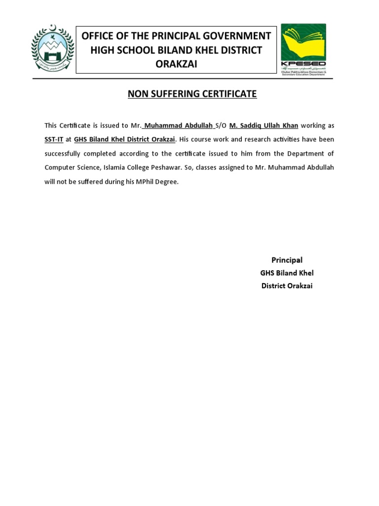 Non Suffering Certificate for SST-IT | PDF