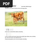 Grade 2 Assessment Test | PDF