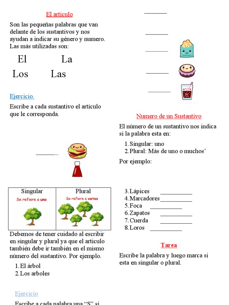 Actividades sobre artículos y sustantivos | PDF | Sustantivo | Adjetivo