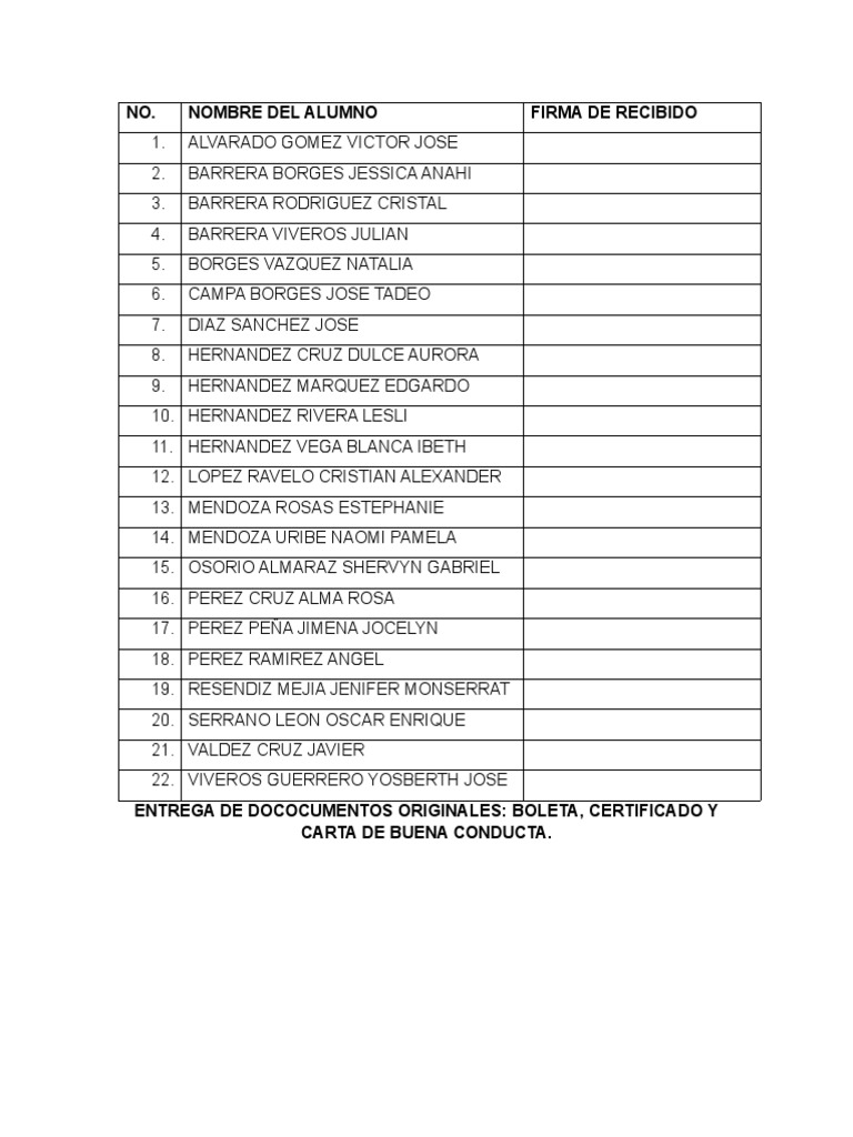 Formato de Entrega de Boletas | PDF