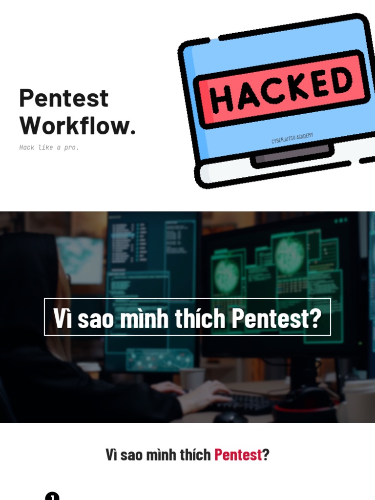 Pentester Workflow 1 | PDF