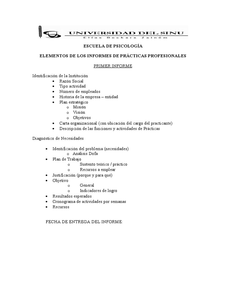 formato_informes_de_practicas_profesionales_1_-2008 | PDF | Business