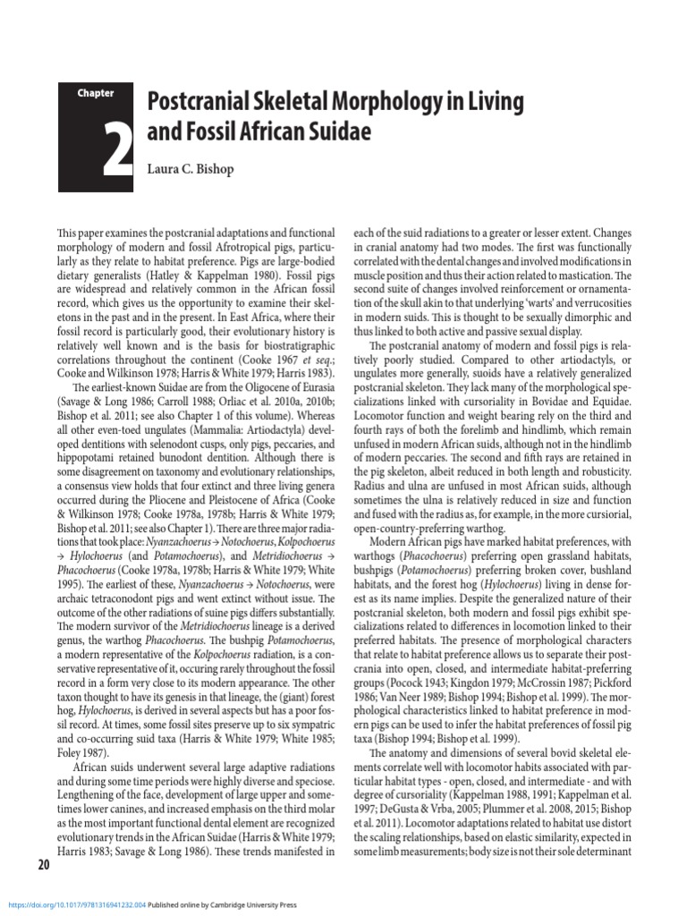 Postcranial Skeletal Morphology in Living and Fossil African Suidae ...