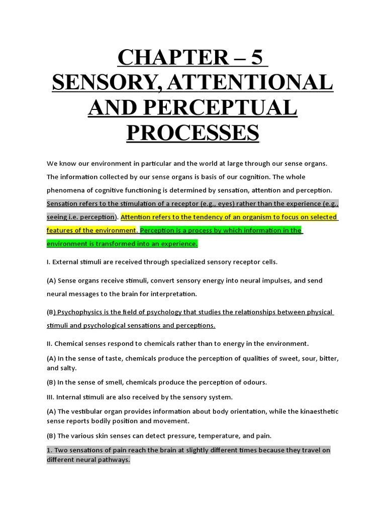 Chapter 5 Sensory Attentional And Perceptual Processes Download Free Pdf Senses Perception