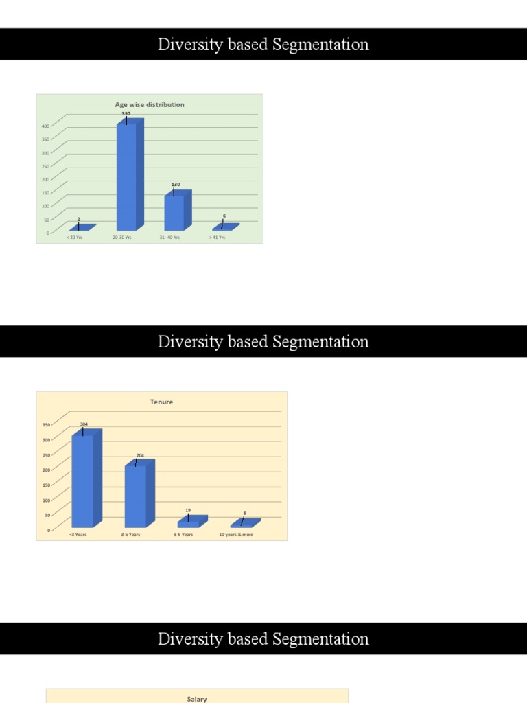 Workforce Segmentation 4 | PDF