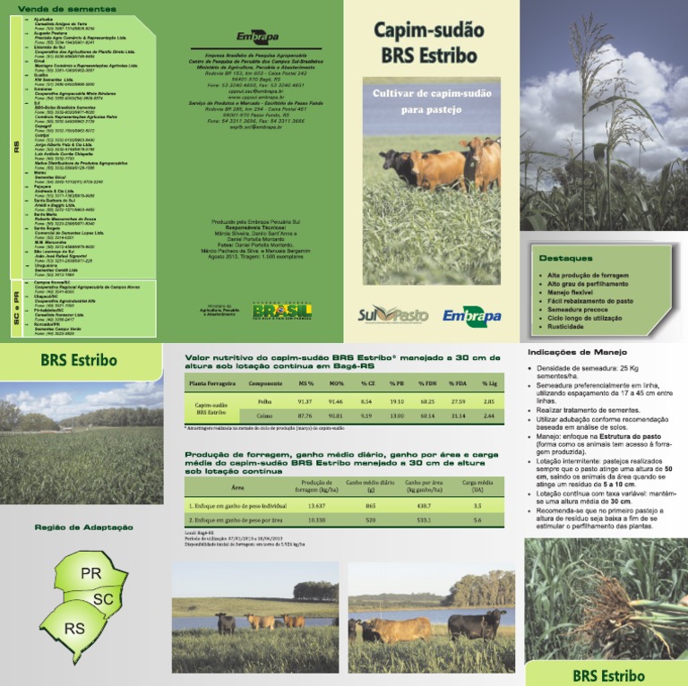 ESTRIBO CAPIM Sudao | PDF