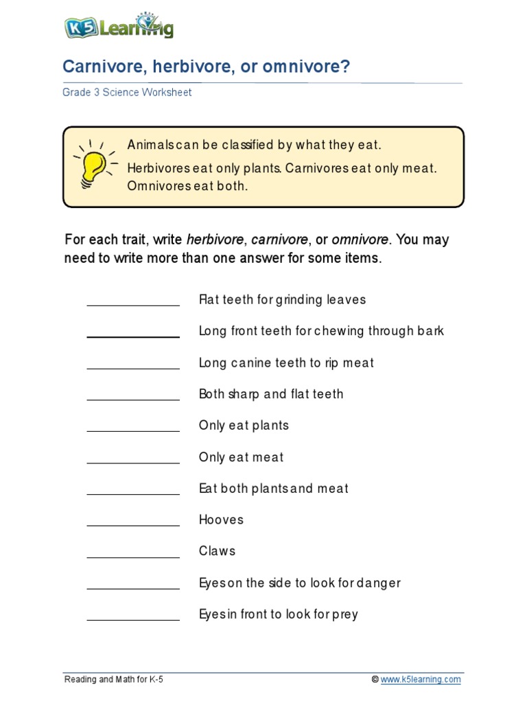 grade-3-carnivore-herbivore-onmivore-a | PDF