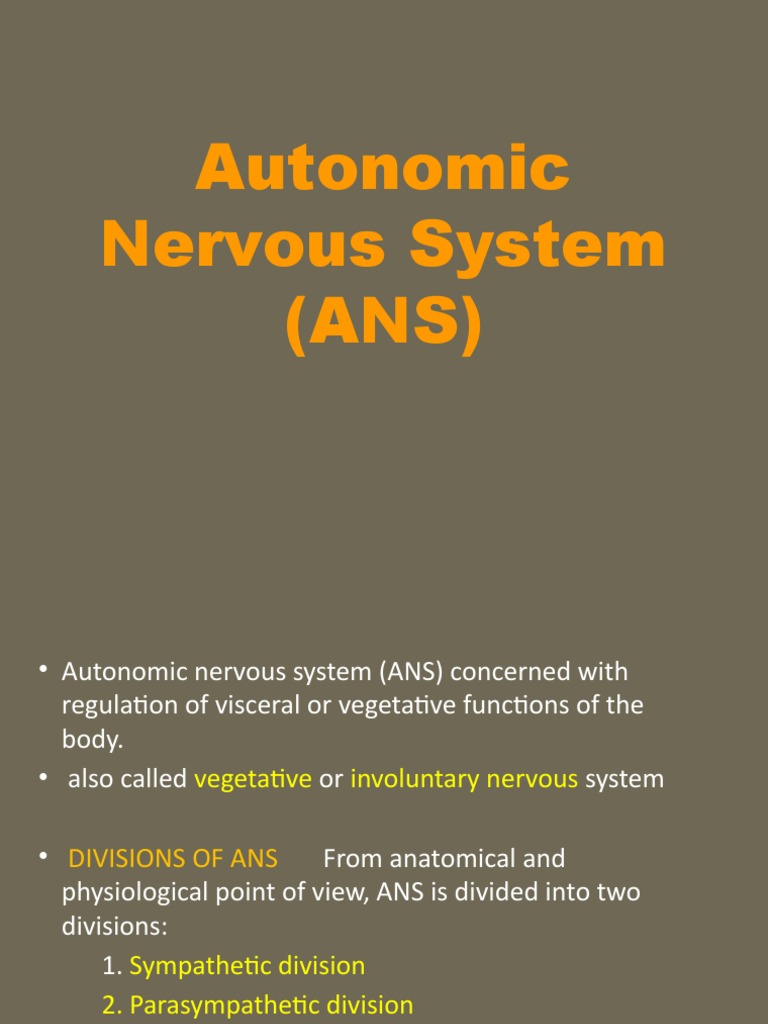 Autonomic Nervous System (ANS) | PDF | Autonomic Nervous System | Nerve